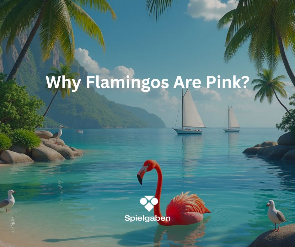 Why Flamingos Are Pink: The Secret Behind Their Feather Fashion Show!